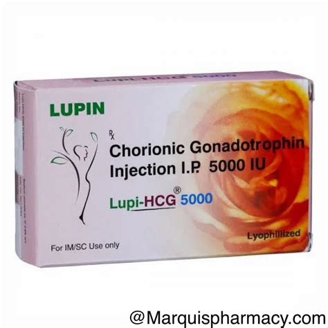 Hcg 5000 Iu Injection Packaging Type Box At ₹ 220piece In Nagpur