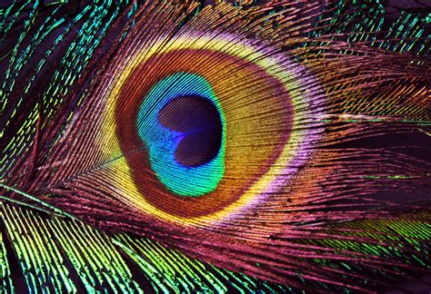 Luminescence Mary Atwood Photography