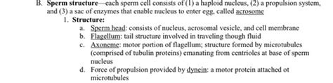 Developmental Bio Exam 2 Flashcards Quizlet