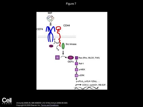 Volume 25 Issue 4 Pages October 2006 Ppt Download