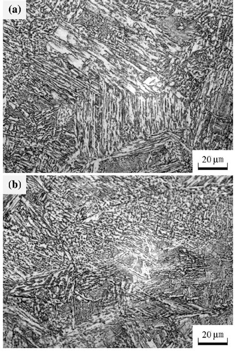 Optical Micrographs Showing Microstructures Under Different Cooling Download Scientific Diagram