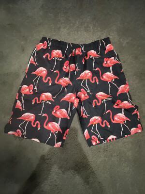 Pink Flamingo Shorts Ebay