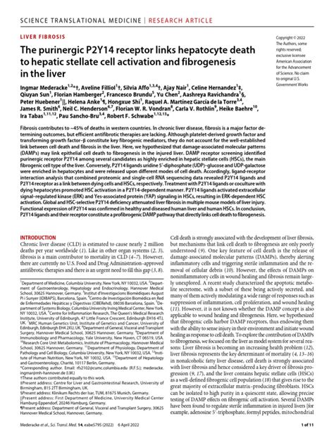 Stm2022 The Purinegic P2y14 Receptor Links Hepatocyte Death To Hsc Activation And Fibrogenesis