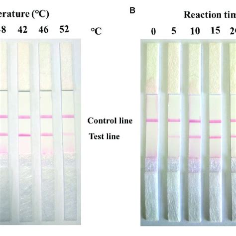 Optimal Detection Conditions Of Asfv Rpa Lfd Assay A The Assay