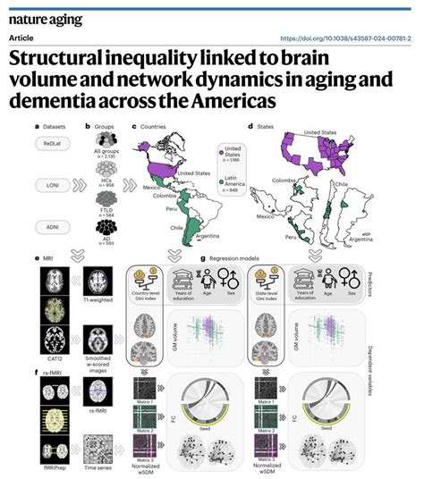 Agustin Ibanez On Linkedin Would The Socioeconomic Inequality Of Your