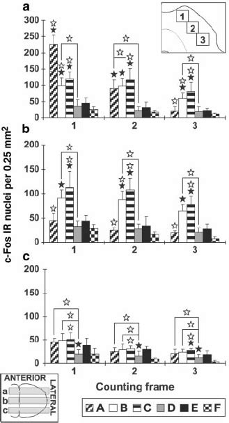 Characteristic Distribution Patterns Of C Fos Immunoreactive Neurons In