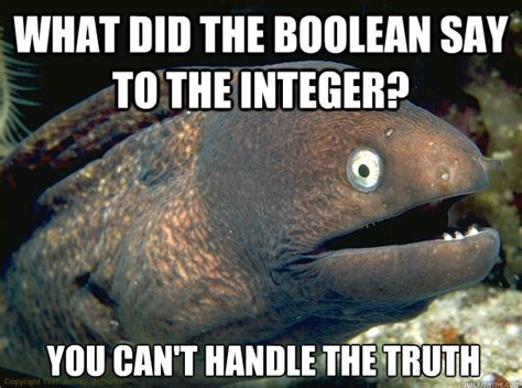 What Did The Boolean Say To The Integer You Cant Handle The Truth