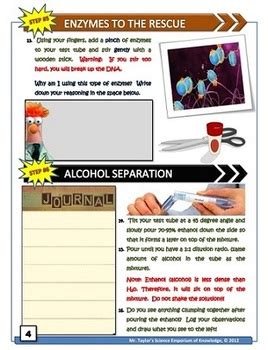 DNA Extraction Lab By MR TAYLOR S SCIENCE EMPORIUM OF KNOWLEDGE TpT