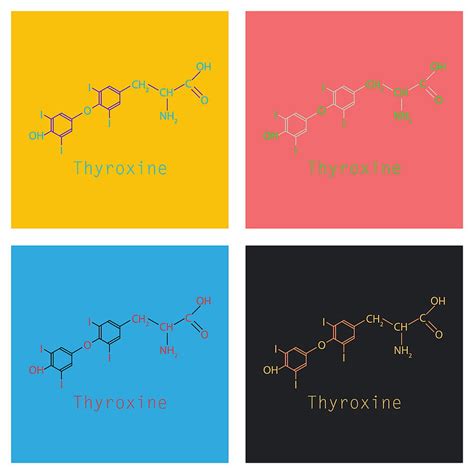 Thyroxine T4 Levothyroxine 갑상선 호르몬 벡터 Ai Eps Uidownload