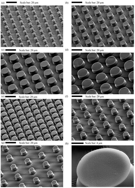 Roles Of Micropillar Topography And Surface Energy On Cancer Cell Dynamics