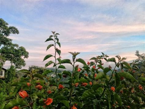 Пин от пользователя Claudia Barba на доске Paisajes