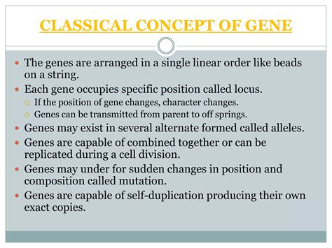 The Structure Function Of Genes PPTX