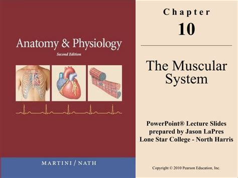 Ch 10 Lecture Outline Ppt