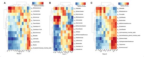 Heatmaps Of The Correlation Coefficients Between The Phenotypes And Download Scientific