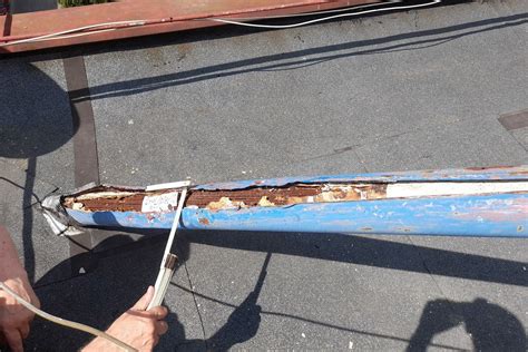 Wroc Aw Tak Wygl Daj Liny No Ne Trzonolinowca