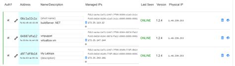 Make Consul As Auto Dns For Zerotier Or Zerotier Service Discovery By
