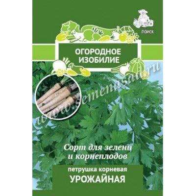Петрушка Урожайная | Herbs, Parsley, Plants