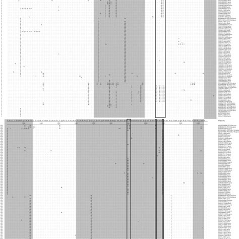Recombination Analysis A Similarity Plot Generated By Simplot Software