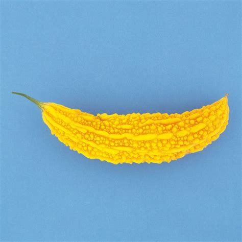 33 Best Oral Sex Tips How To Give A Great Blow Job