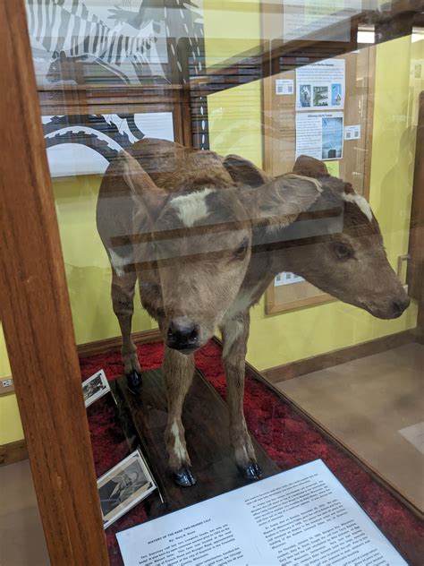 And Here I Thought Fallout Was The Cause Rfo4