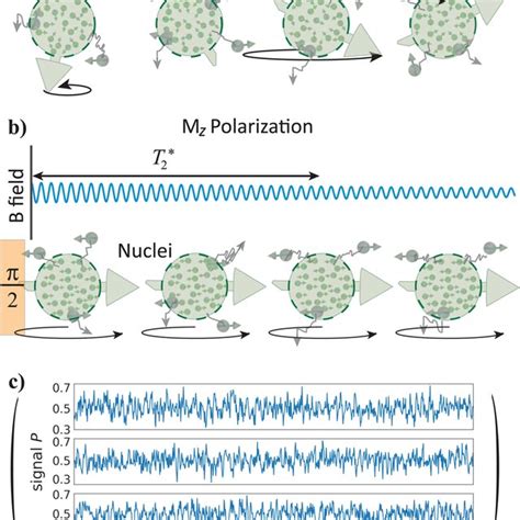 A Illustration Of The Qdyne Signal And The Detected Statistical Download Scientific Diagram