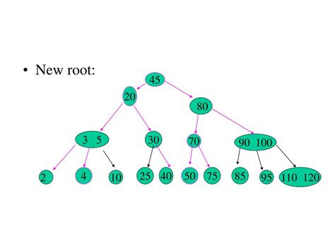 Ppt Multi Way Search Trees Powerpoint Presentation Free Download