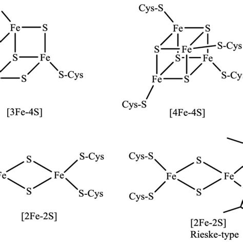 Structures Of Common Fe S Clusters Found In Nature Download