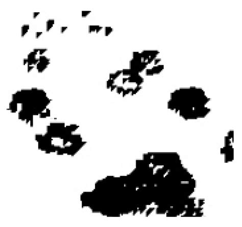 Vehicular Traffic Congestion Classification By Visual Features And Deep Learning Approaches A