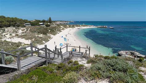 Viaggio A Rottnest Island Il Paradiso Australiano Abitato Dai Quokka