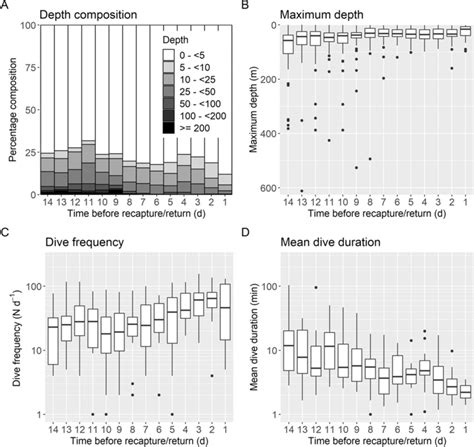 Depth Patterns Of Returning Adults According To Time Before Download Scientific Diagram