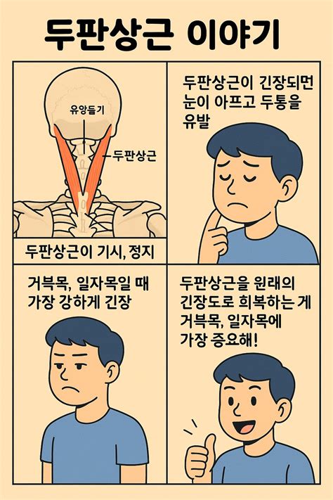 몸은 근육으로 말한다 김상원 4월 전차책 준비 중 일부 발췌 📍두판상근 이야기 두판상근은 목 뒷부분 깊숙한 곳에서 머리와 목의 균형을 잡아주는 핵심 근육이야 두판
