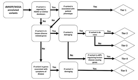 Overview Of The Variants Discovery Pipeline To Report Possible