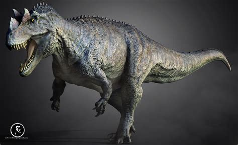Ceratosaurus By Robertfabiani On Deviantart