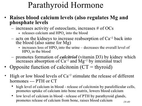 To Find The Lecture Notes For Lecture 10 Endocrine System