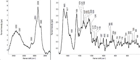 Representative Raman Spectrum Of The Honeybee Wing Sample W1 Download