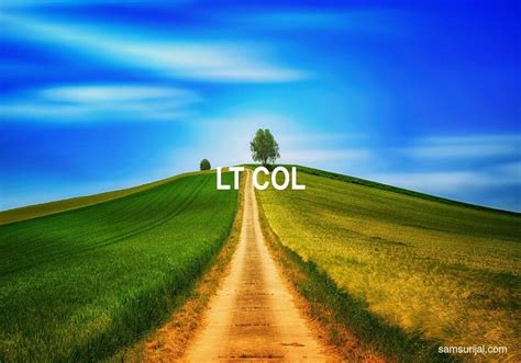 Arti Kata Lt Col Kamus Bahasa Inggris Terjemahan Indonesia