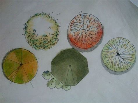 LandsCape Rendering Trees On Behance