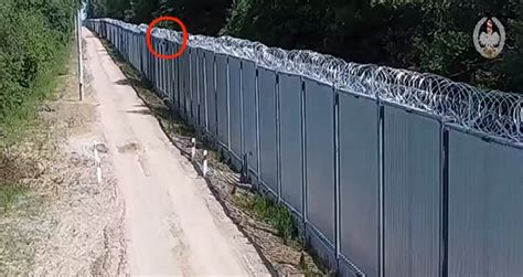 migrant na szczycie zapory na granicy służby pokazały nagranie z