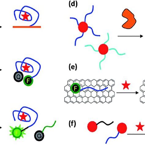 Aptamer Configurations In Various Biosensor Systems A Simple Binding
