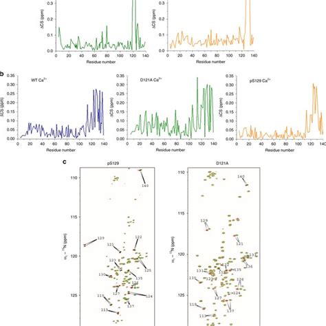 Tht Based Aggregation Assays Reveal Different Aggregation Behaviour For