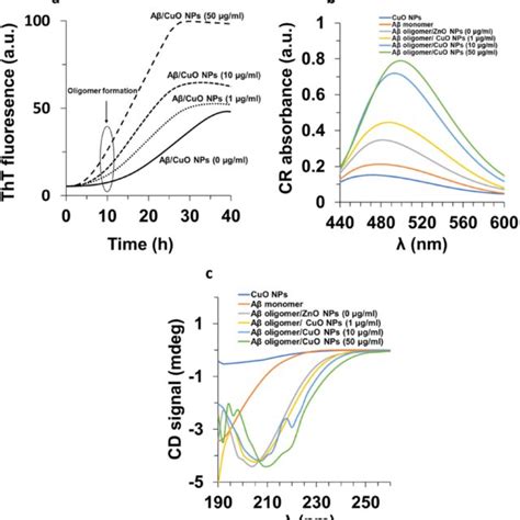 Morphological Study Of Aβ 1 42 Oligomerization With And Without Cuo Nps