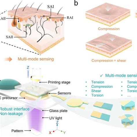 Various Integrated Ionotronic Sensors A Design And Principle Of The Download Scientific Diagram