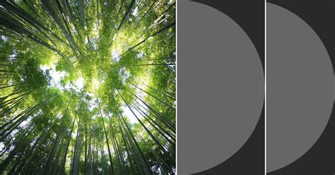 List Ms Sentinel Curated By Adan Medium