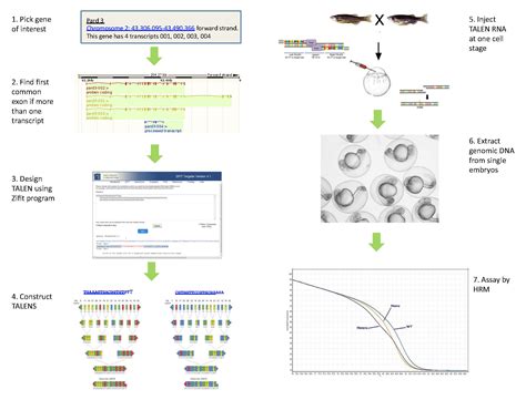Genome Editing Facility