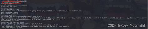 在kali虚拟机里配置netfilteriptables防火墙的规则链，过滤ping命令，并测试kali Iptables Csdn博客