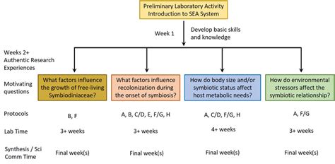 Workflow And Protocols Associated With The Implementation Of The Seas