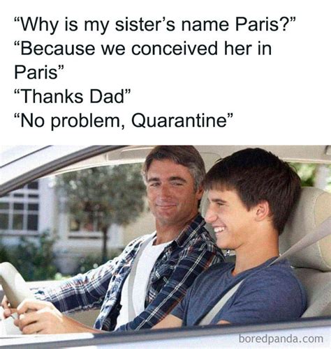 39 Comical Gems To Put A Smile On Your Face During Quarantine Art Sheep