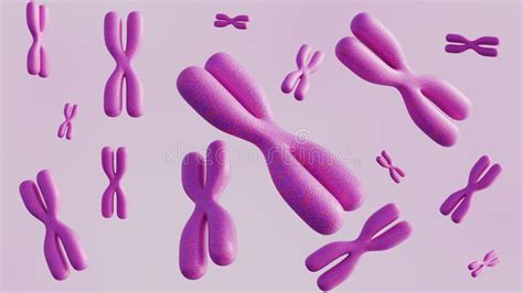3d Rendering Of Scattered Pink Xx Chromosomes Associated With Female