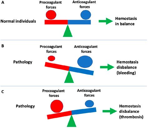 Figure 1 From Autoimmune Diseases Affecting Hemostasis A Narrative