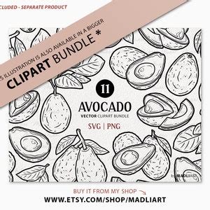Avocado Branch Svg Clipart Avocado Vector Drawing Avocado Plant Fuit